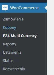P24 Modules Documentation